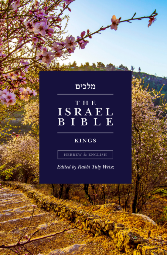 The Israel Bible - Kings – Israel365