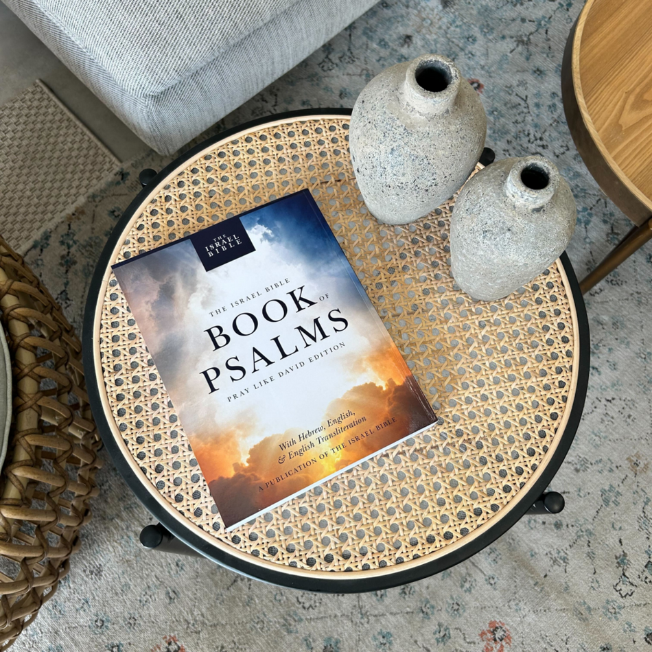 The Israel Bible Book of Psalms: Pray Like David Edition – Israel365