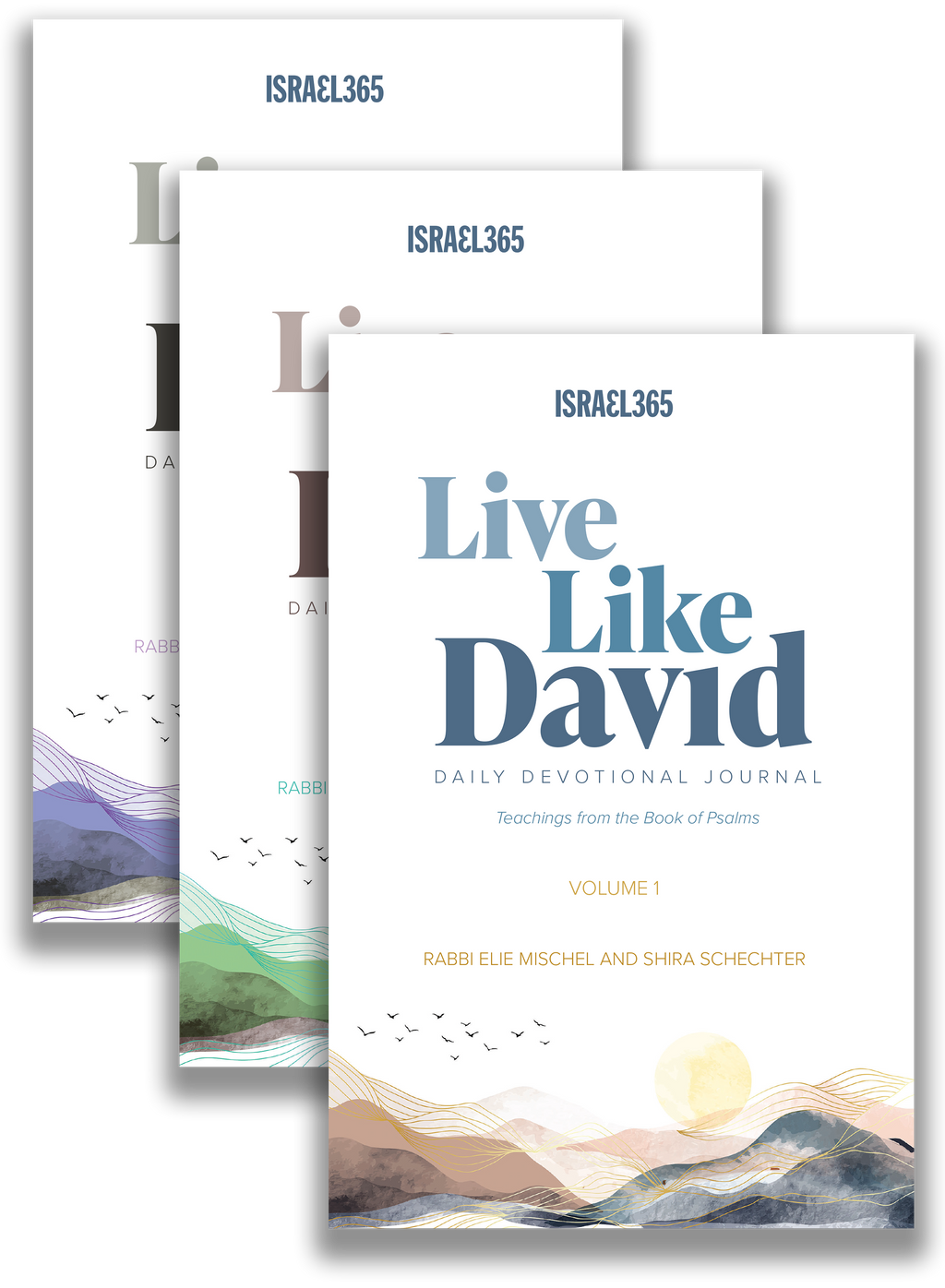 Live Like David - Daily Devotional Journal - 3 Volume Softcover Set ...