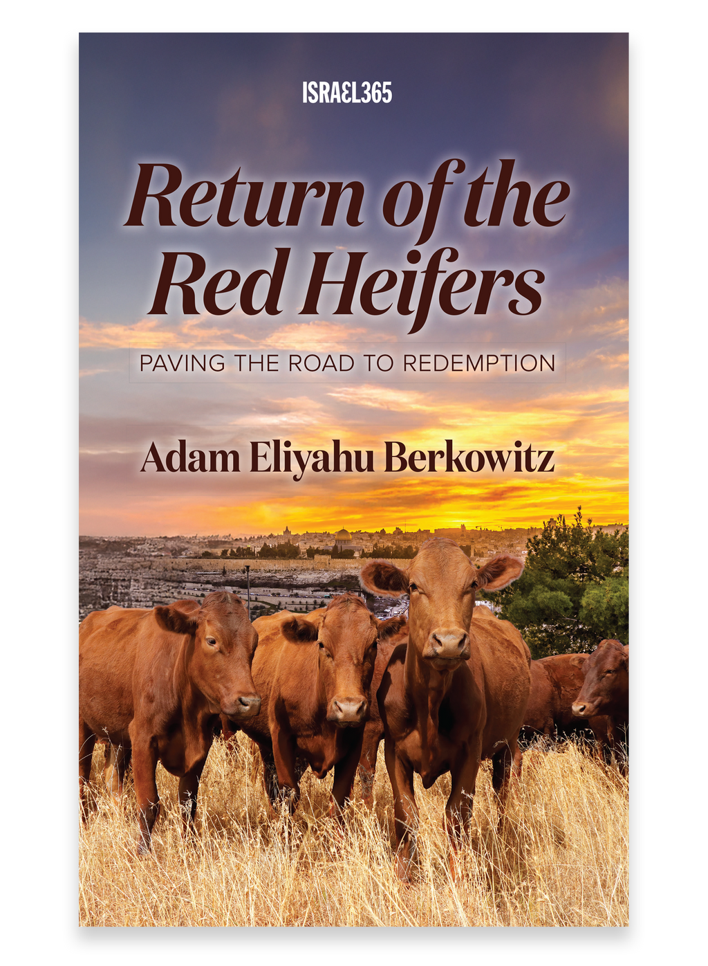 The Return of the Red Heifers: Paving the Road to Redemption – Israel365