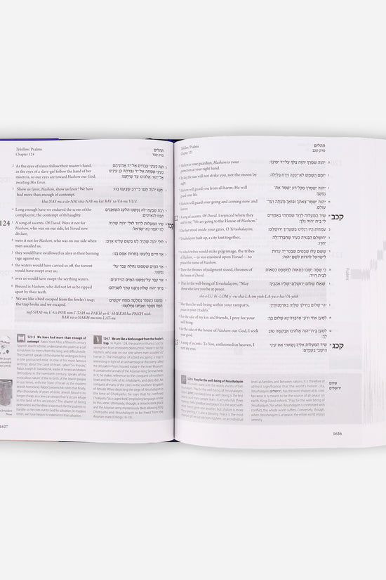 The Israel Bible - Hardcover – Israel365