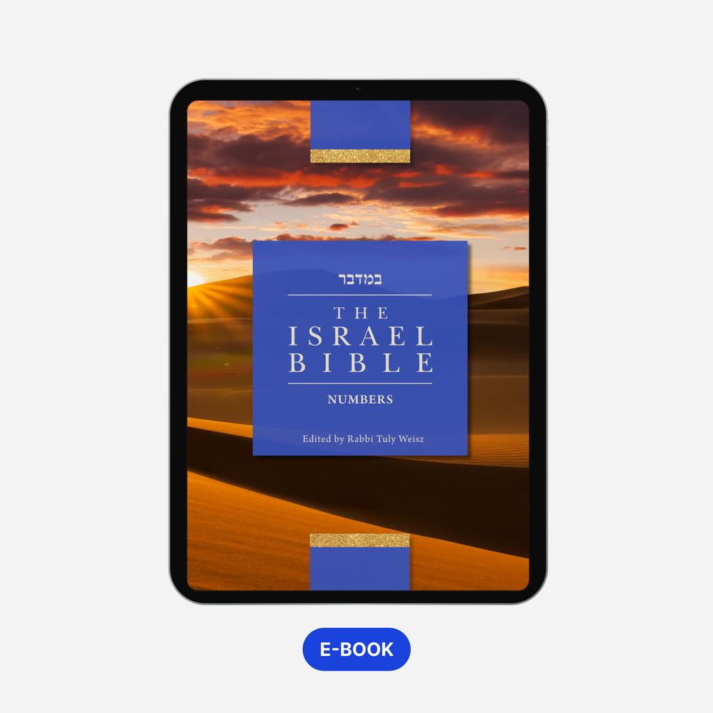 The Israel Bible - Numbers - (Digital) Now in Color – Israel365