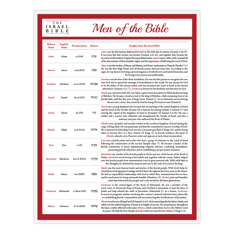 Men of the Bible Laminated Study Sheet – Israel365